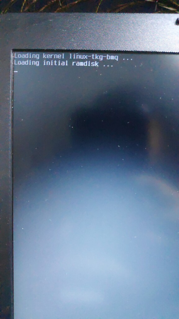 [Solved] Stuck at loading initial ramdisk - Newbies - Garuda Linux Forum