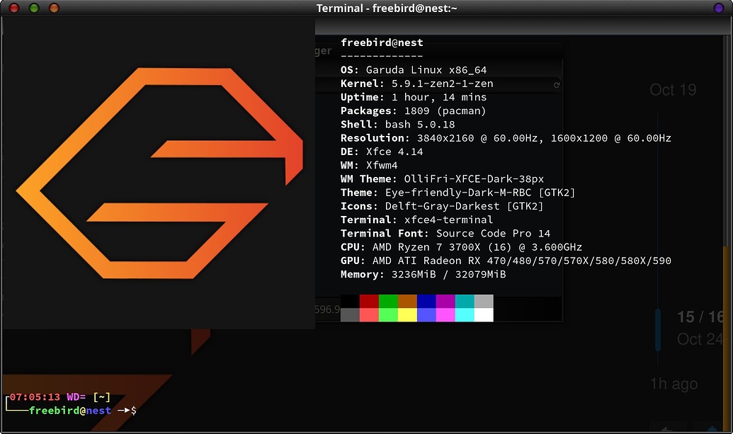 New neofetch logo? - Garuda Community - Garuda Linux Forum