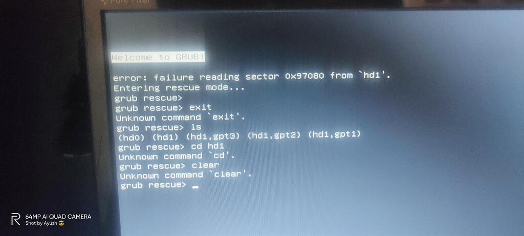Getting Grub Error - Issues & Assistance - Garuda Linux Forum