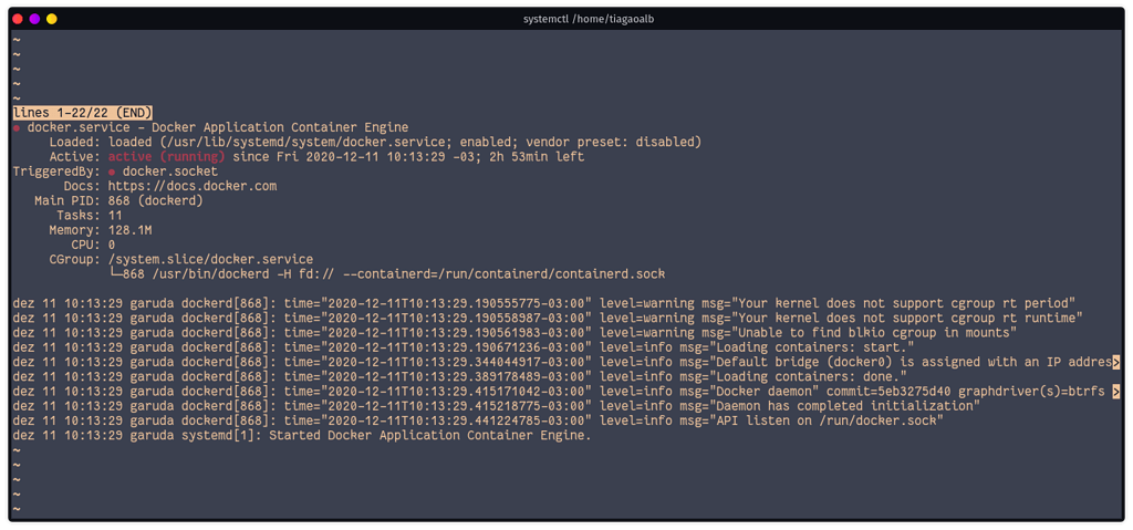 Problem with cgroup on docker - Issues & Assistance - Garuda Linux Forum