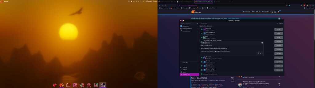 Update Issue - Package Conflict Found - Issues & Assistance - Garuda ...