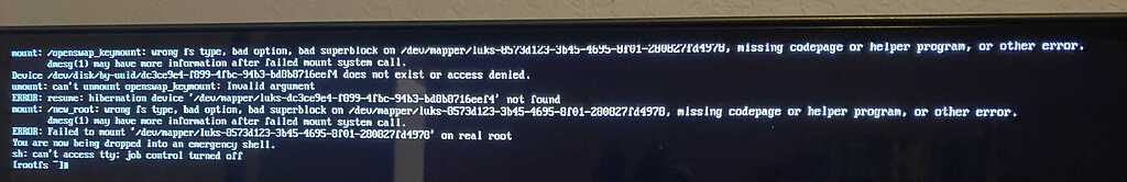 Btrfs error between boot and login - Issues & Assistance - Garuda Linux Forum
