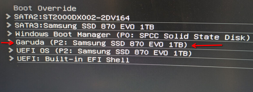 Unable to boot using Garuda - Issues & Assistance - Garuda Linux Forum