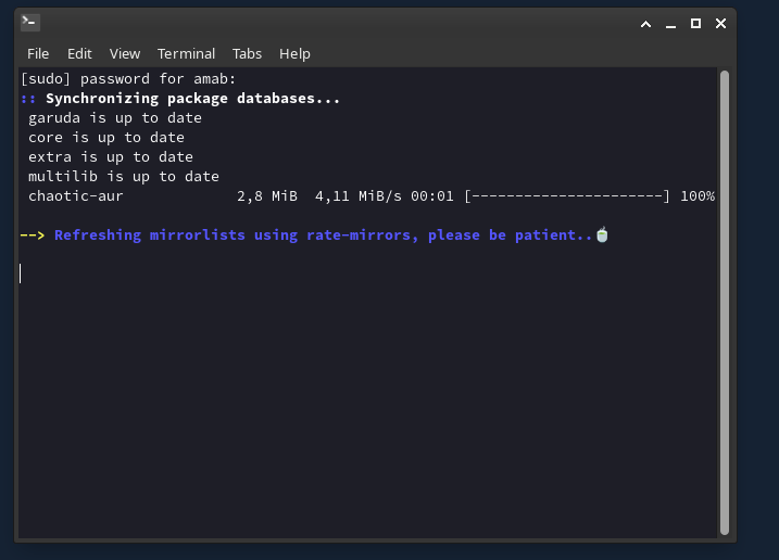 Unable to do "Garuda System Maintenance" - Issues & Assistance - Garuda ...