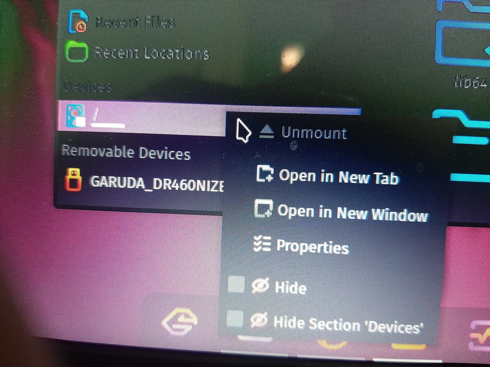 Partition Error on installation - Issues & Assistance - Garuda Linux Forum