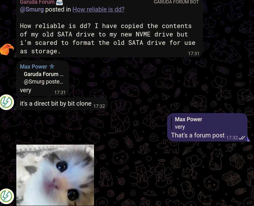 How reliable is dd? - Issues & Assistance - Garuda Linux Forum